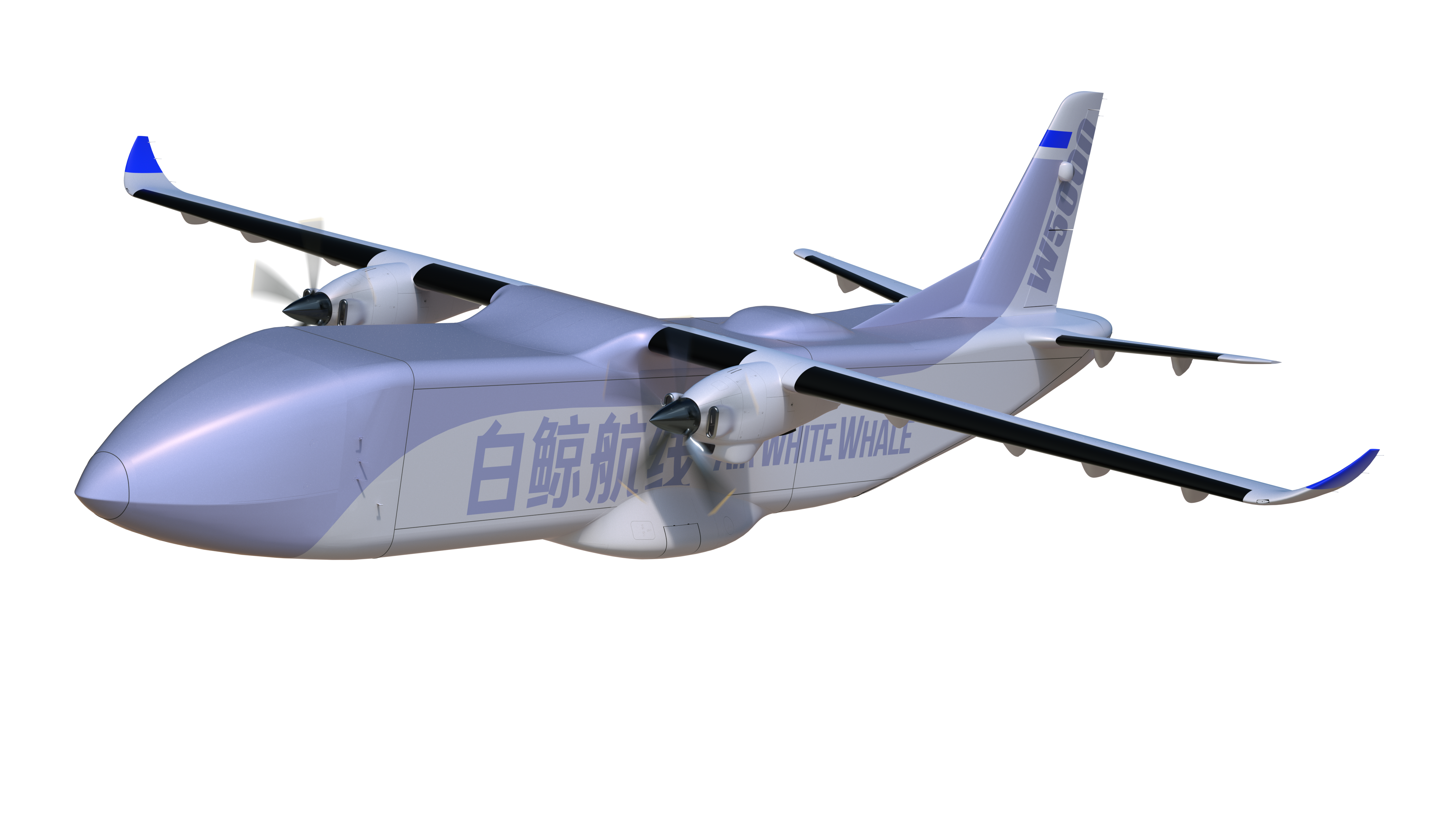 白鲸航线_白鲸航线